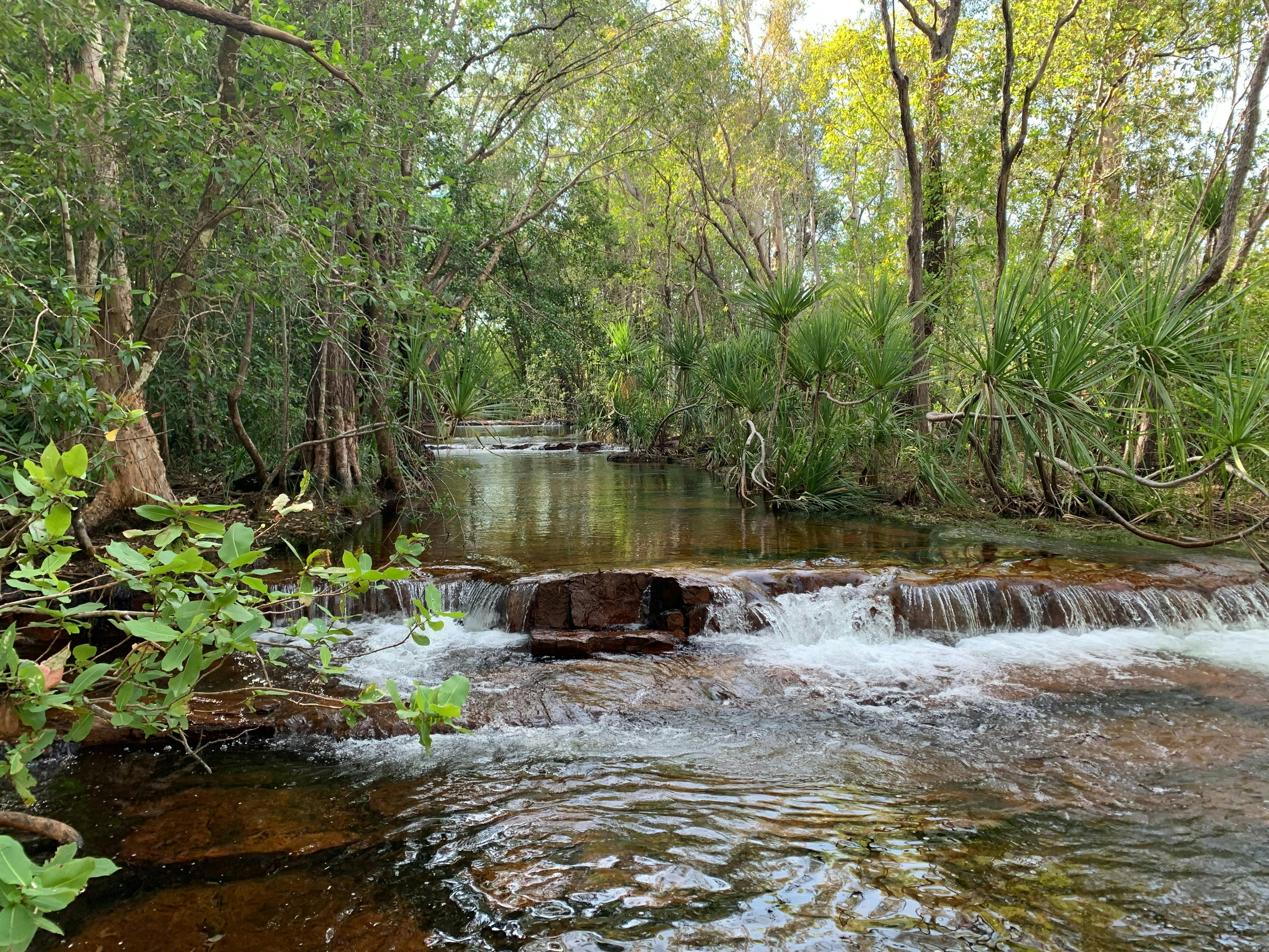 Tabletop Track | Things to do in Litchfield National Park