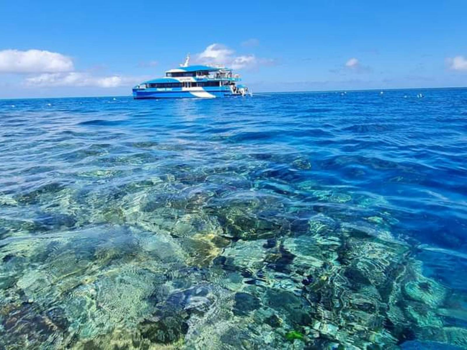 Sealink North Queensland Great Barrier Reef Snorkelling Day Tour ...