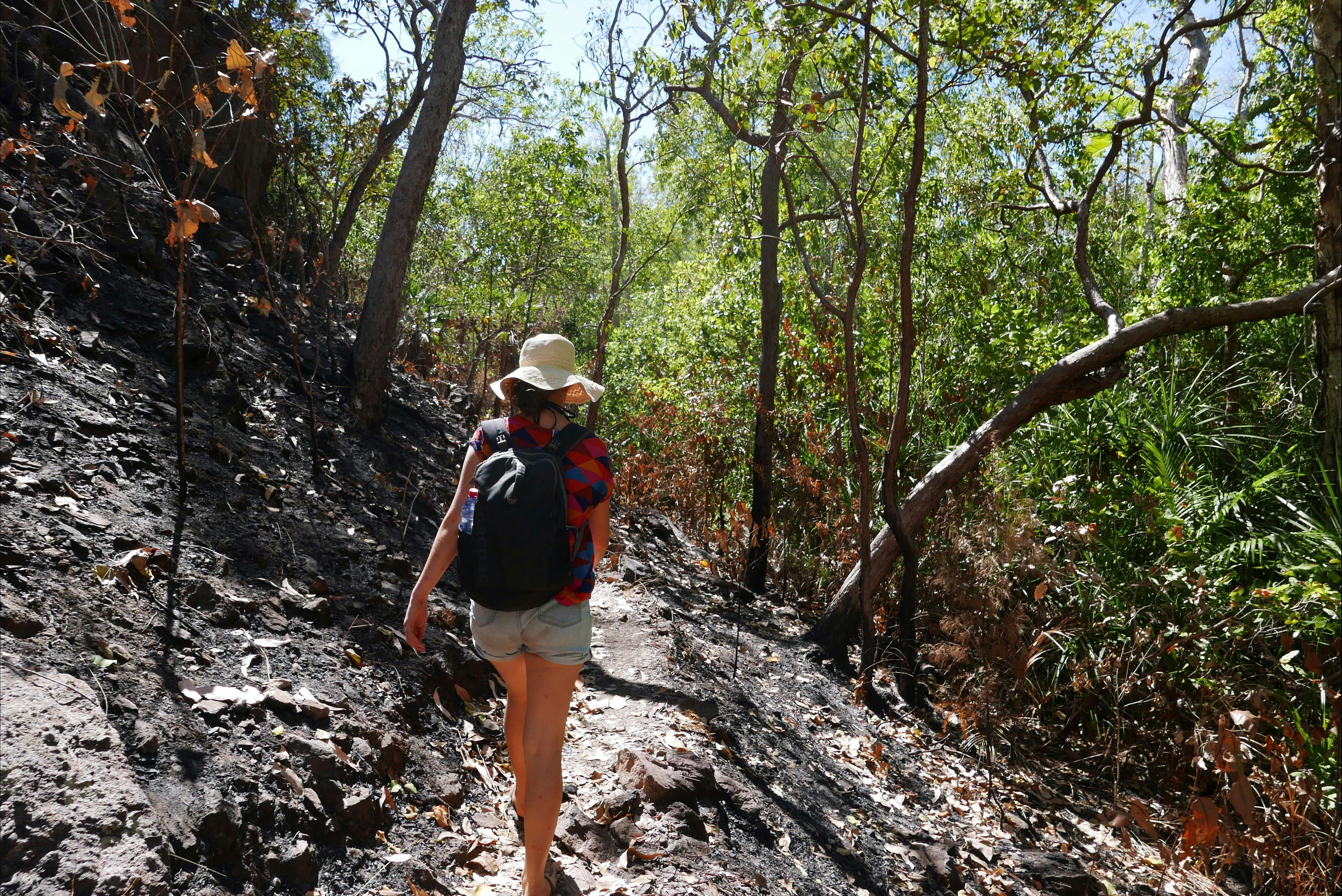 Tjaynera Falls (Sandy Creek) | Things to do in Litchfield National Park