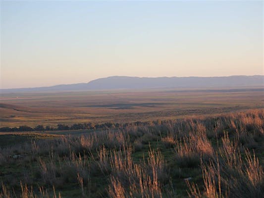 Coonatto Station - Hammond, Accommodation | South Australia