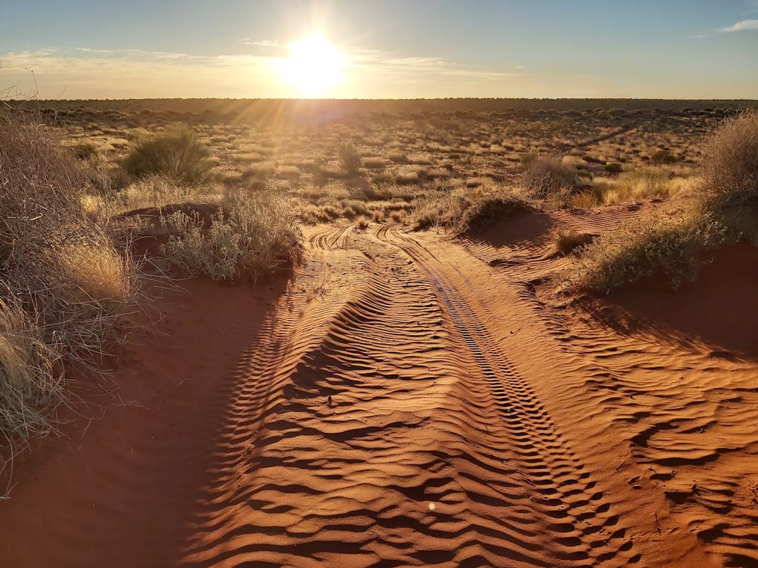 Madigan Line (Northern Simpson Desert) Tag along Tour, Tour Servi...
