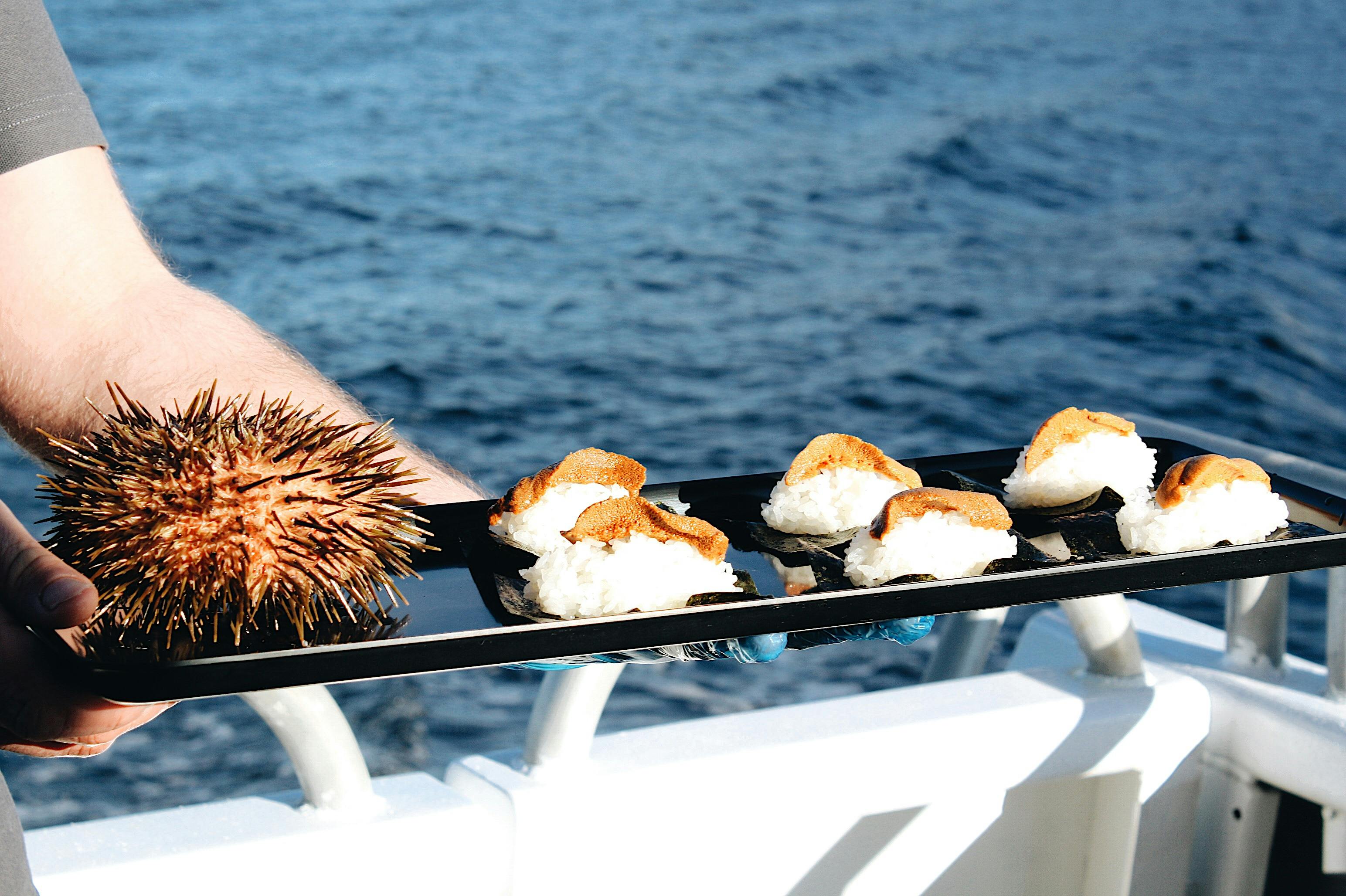 Deep-to-Dish: Tasmanian Seafood Experience | Tour | Discover Tasmania