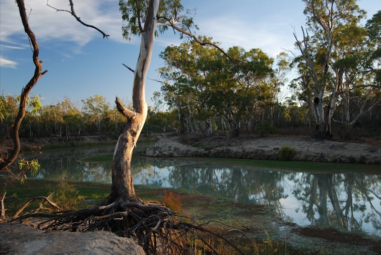 Murray River National Park - Glossop, Attraction | SA Tourism