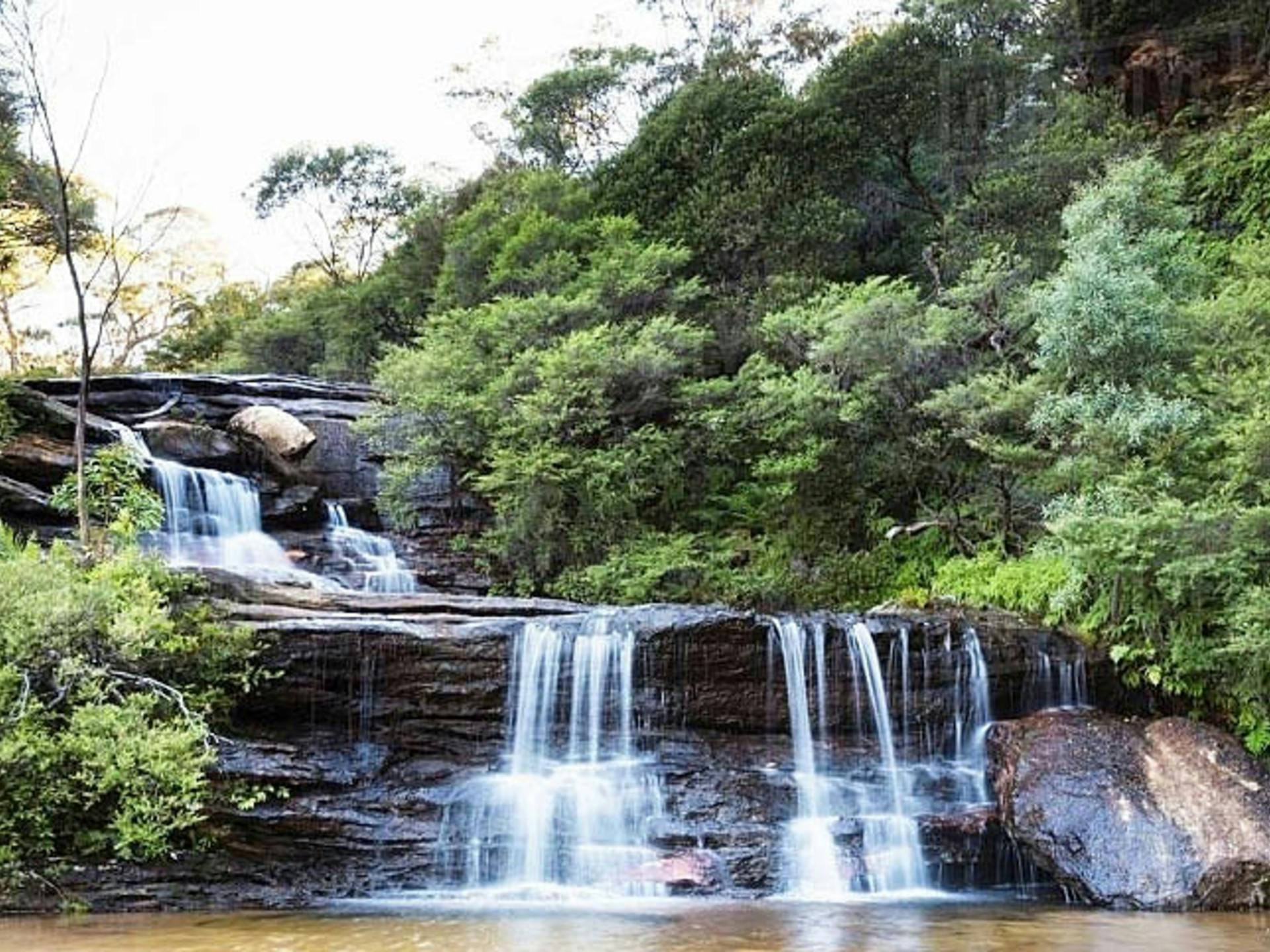 Dome Sweet Dome in Bullaburra - The Fold: Your Guide to Everything ...