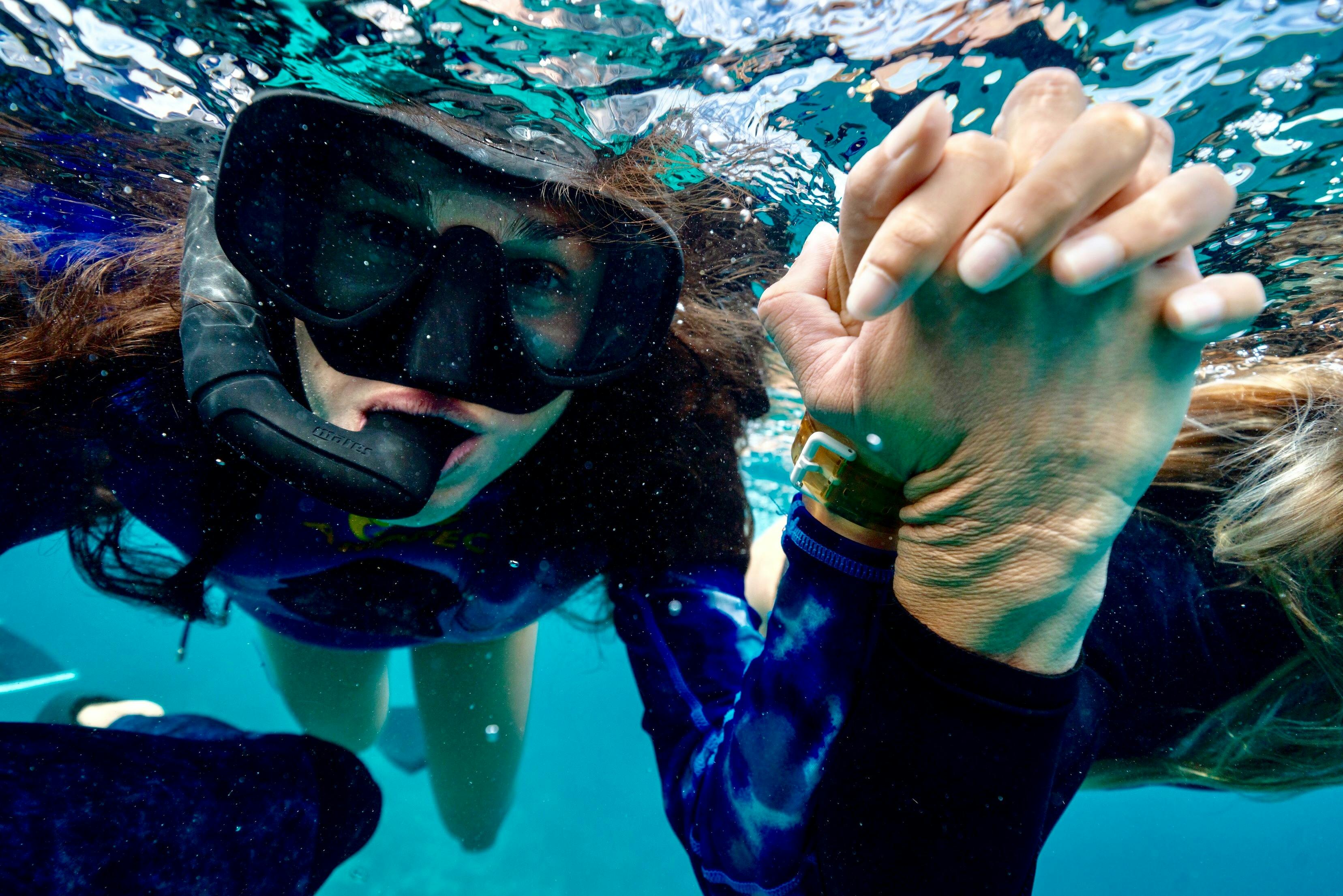 Julian Rocks Snorkeling Tour | NSW Holidays & Accommodation, Things to ...