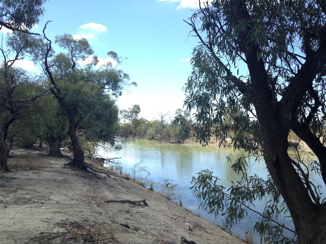 Chowilla Creekside Campsites - Chowilla Game Reserve - Chowilla,