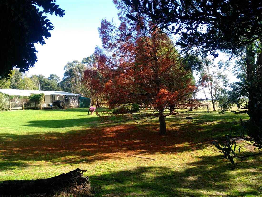 Bush Haven Cottages - Dismal Swamp, Accommodation | South Australia
