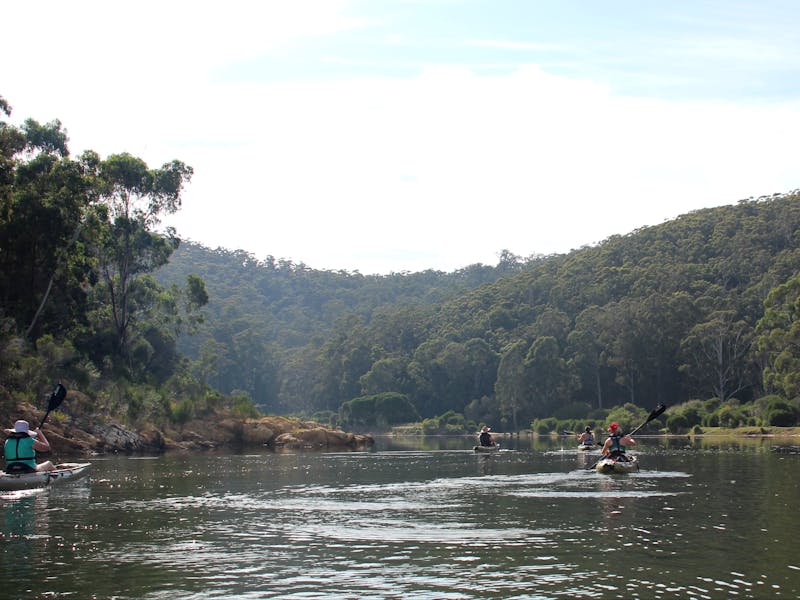 Kiah Wilderness Tours Nsw Holidays And Accommodation Things To Do