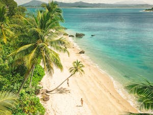 Cairns, Tully and Mission Beach Itinerary - 4 Day Nature Fix | Queensland