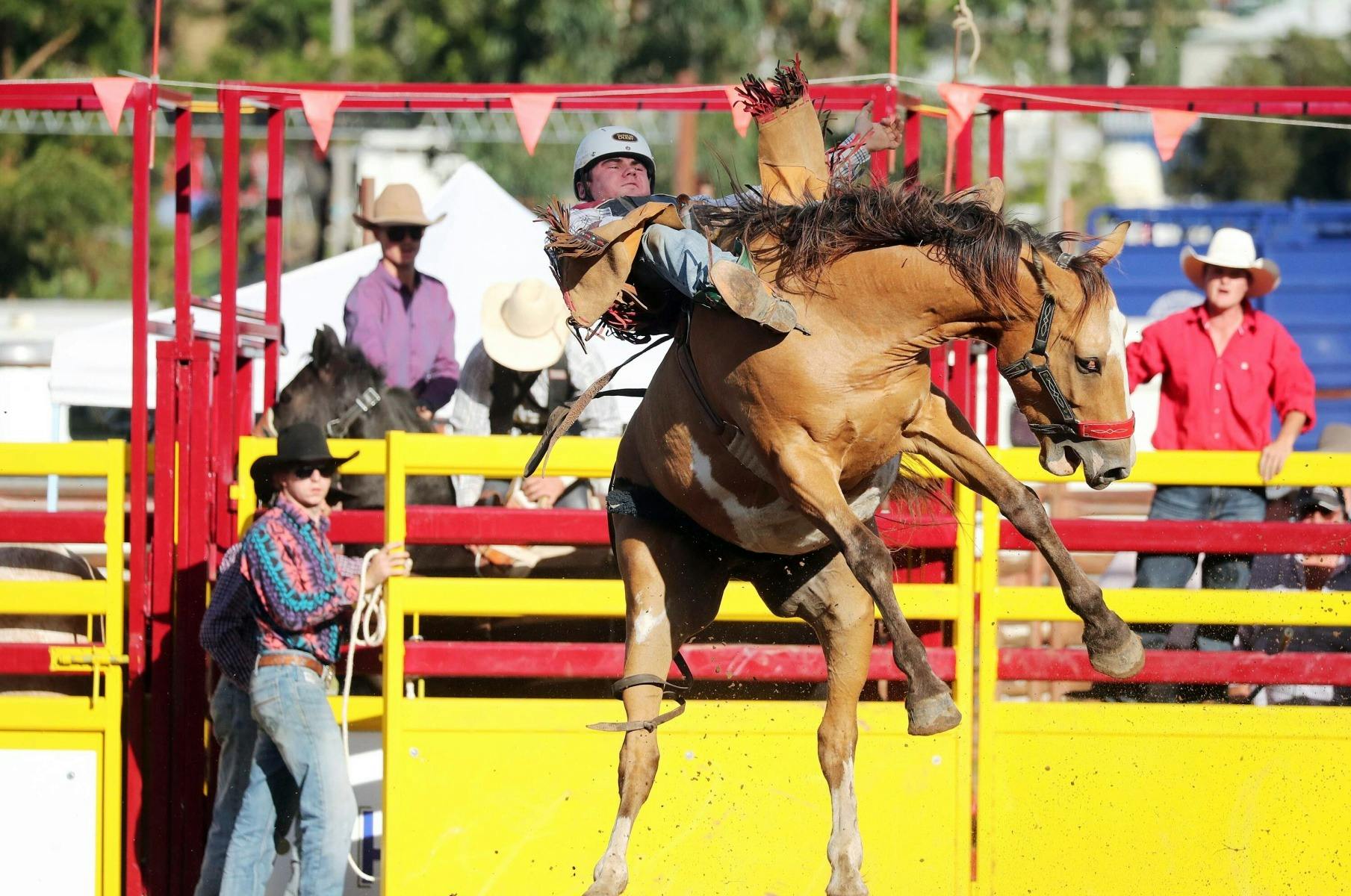 Dungog Rodeo | Events10