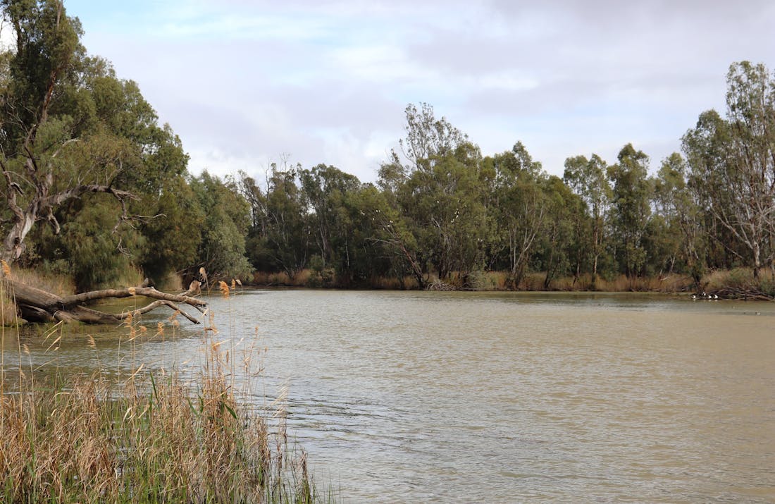 Rilli Reserve - Loxton North, Attraction | South Australia