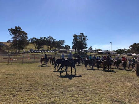 Dungog Events - Markets, Sporting Events & more