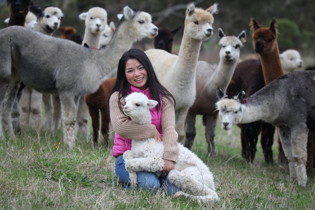 Fleurieu Peninsula - Adelaide, Tour Service | South Australia