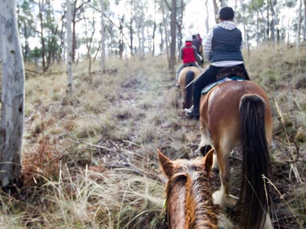 Barbour Park Rest Area | Gunning Accommodation