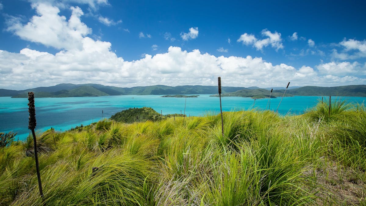 South Molle Island | Destination-information | Queensland