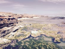 Canunda National Park - Millicent, Attraction | South Australia