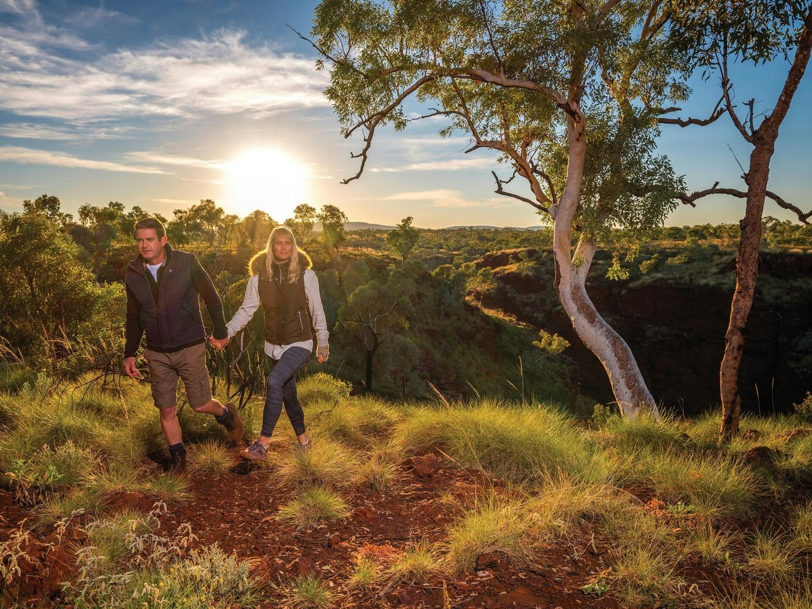 Hamersley Range in Hamersley Range - The Fold: Your Guide to Everything ...