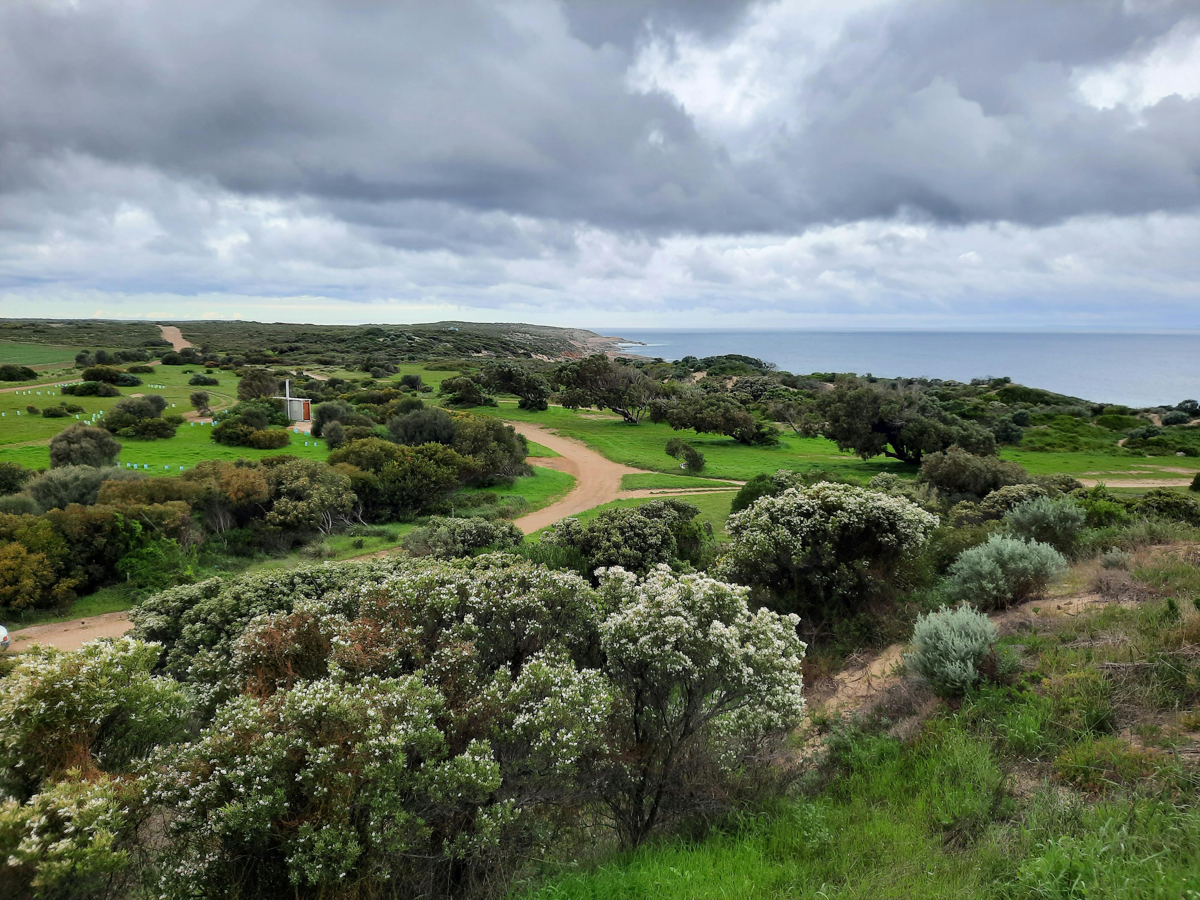 Marion Bay | Hillocks Drive Bush Camping