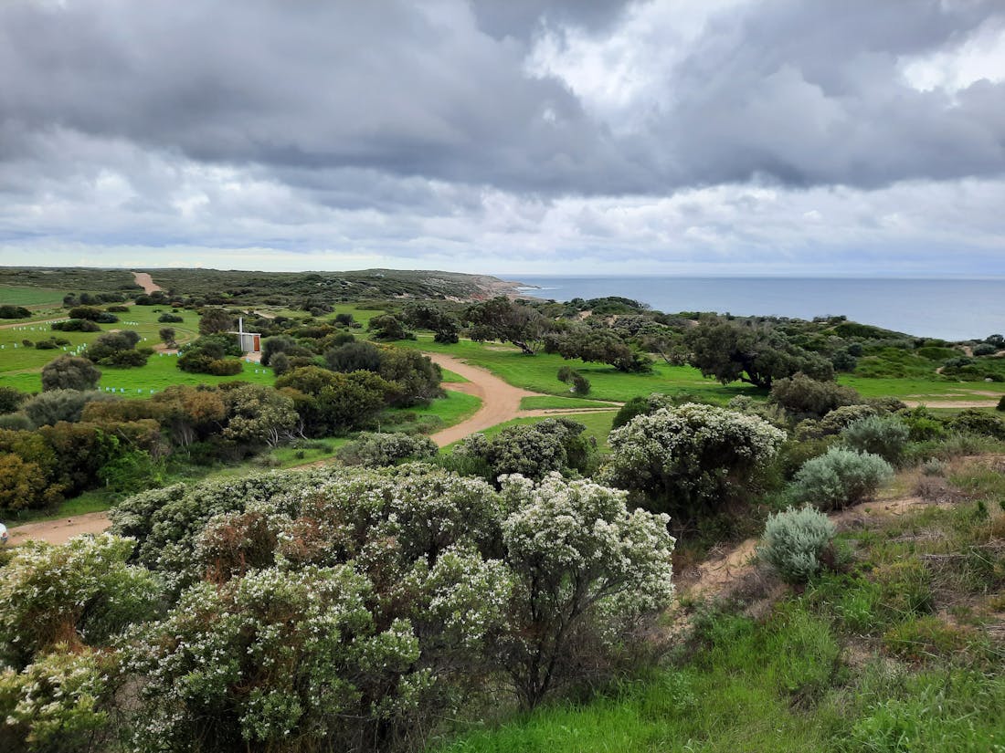 Hillocks Drive Bush Camping - Marion Bay, Accommodation