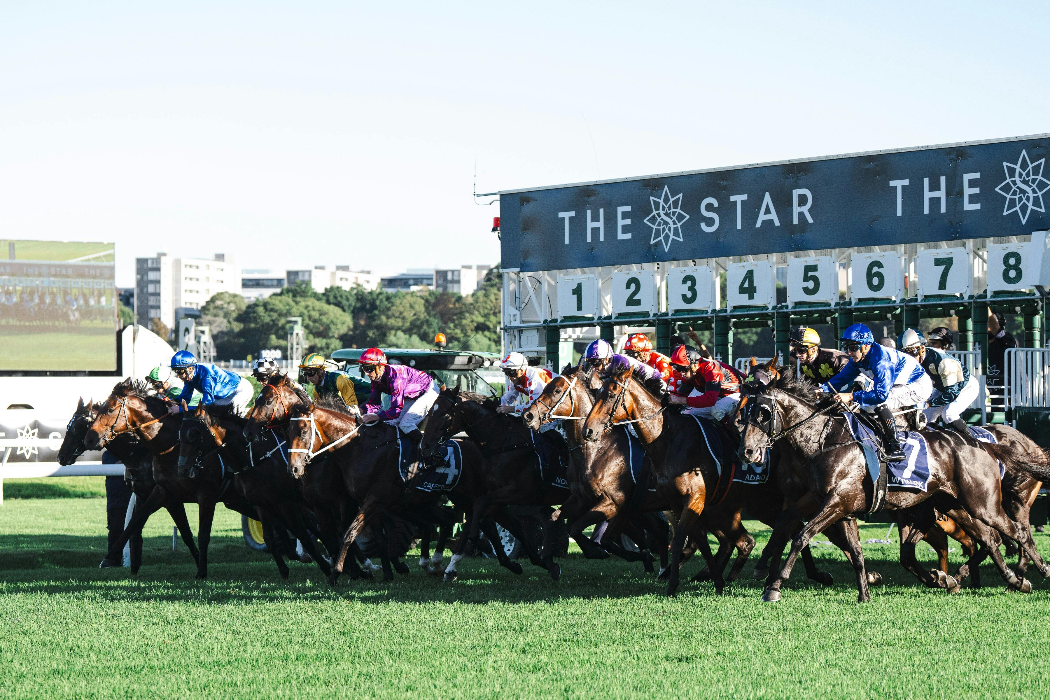 The Star Championships | Sydney, Australia - Official Travel ...