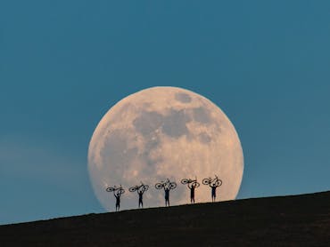 Visit Gold Coast - Attractions & Things to See | Queensland