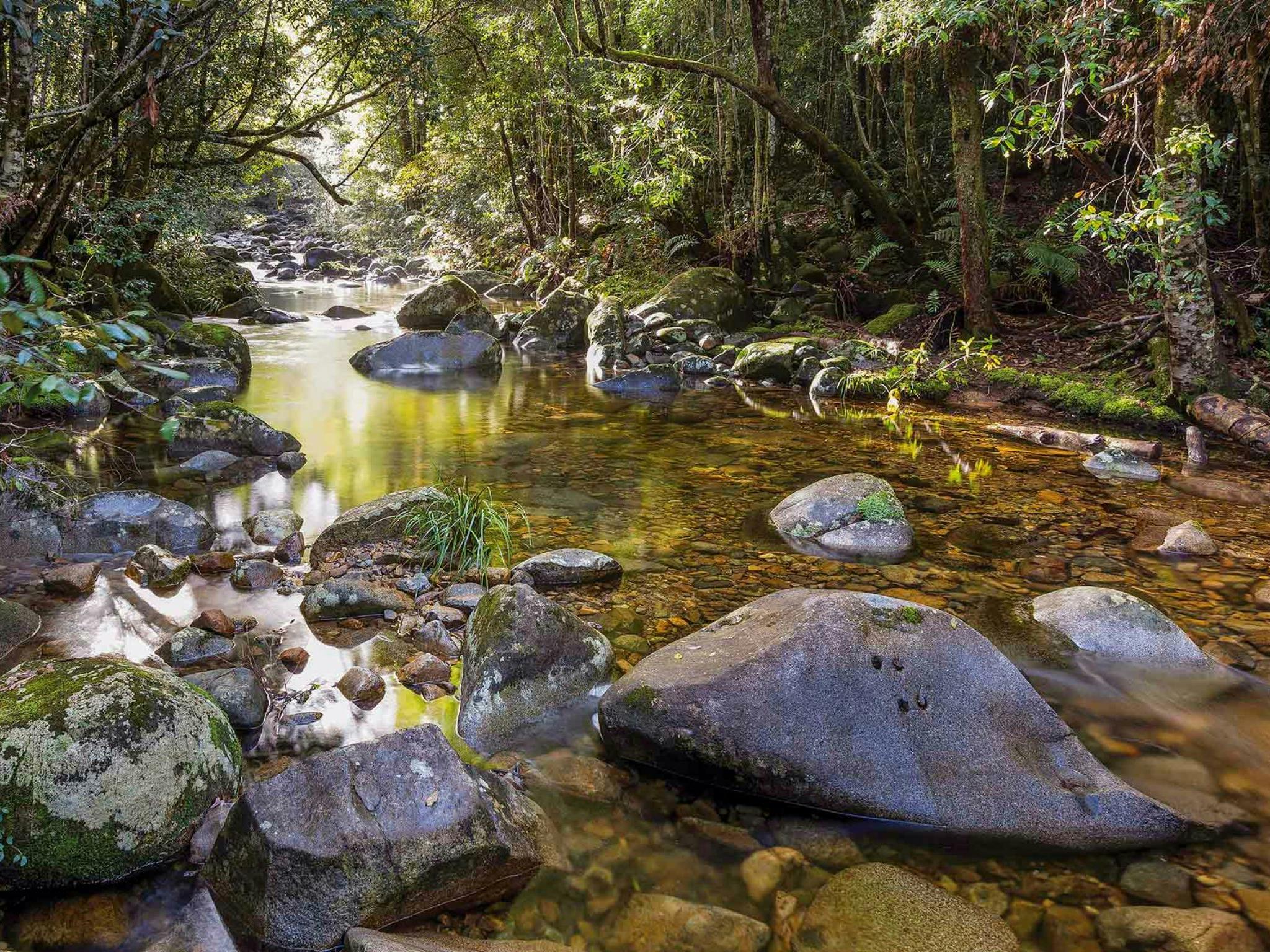 Washpool Walking Track | NSW Holidays & Accommodation, Things to Do ...