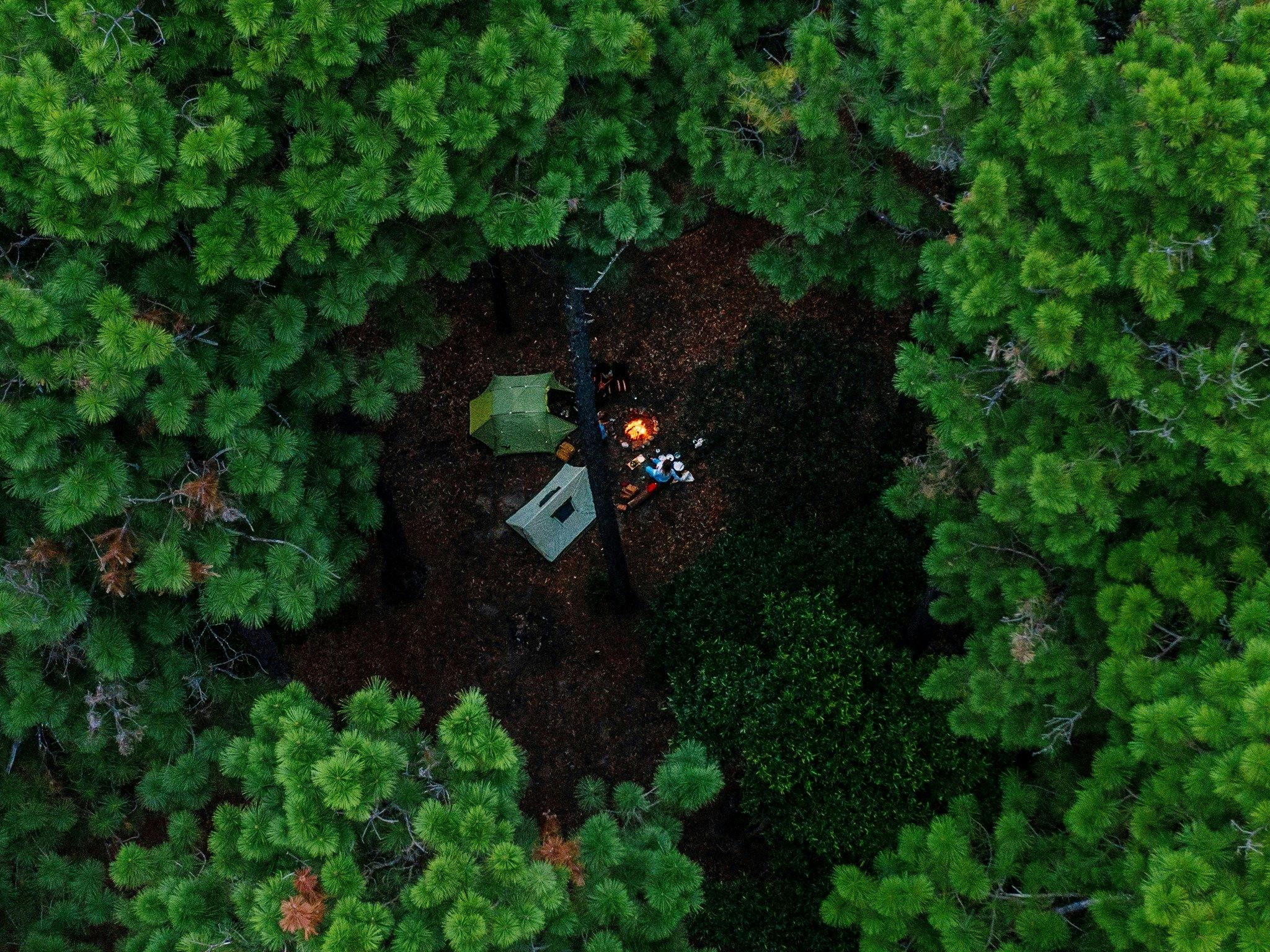 Olney State Forest - Watagan Mountains | NSW Holidays & Accommodation ...