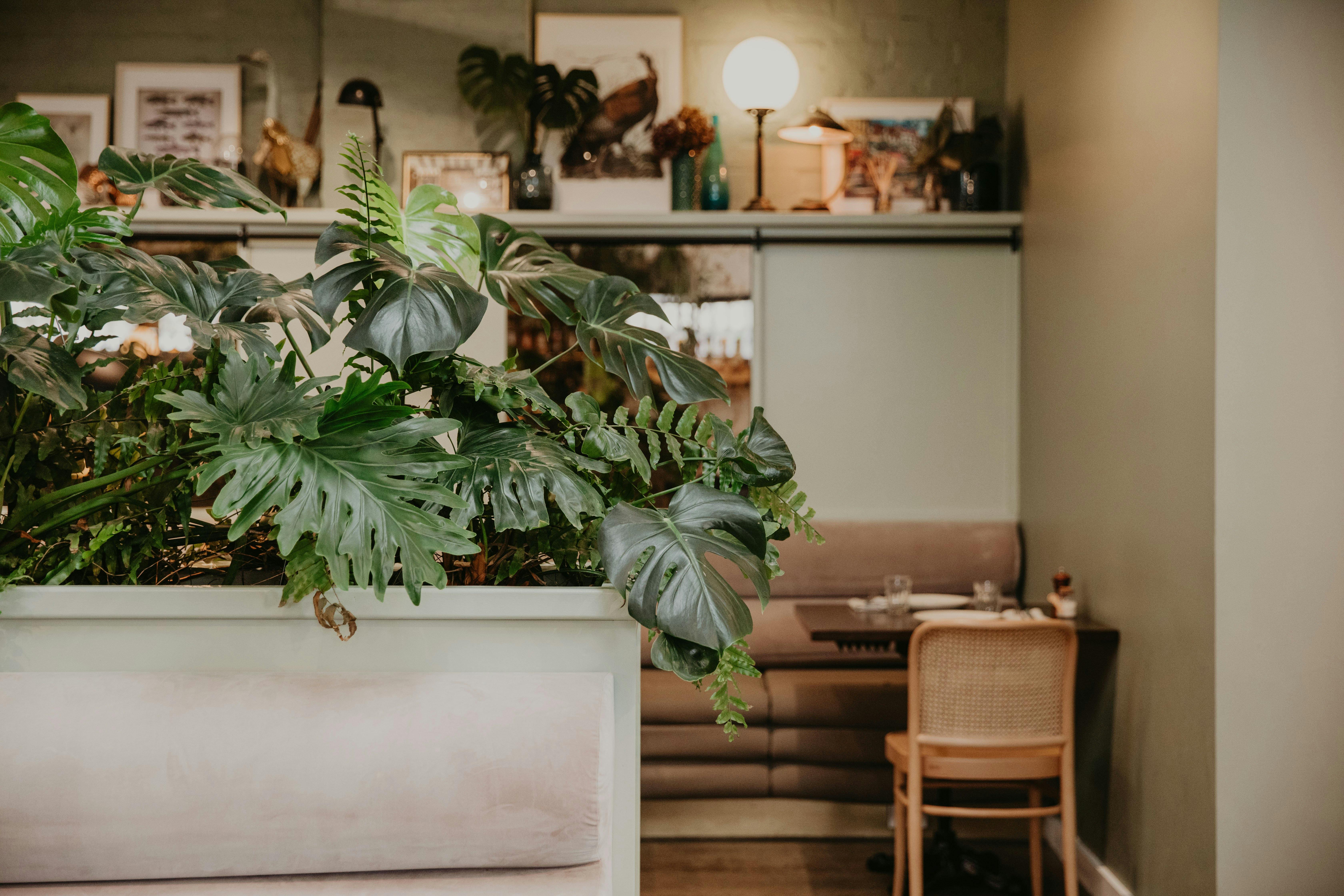 Winery restaurants, cafes and more — Visit Mornington Peninsula.