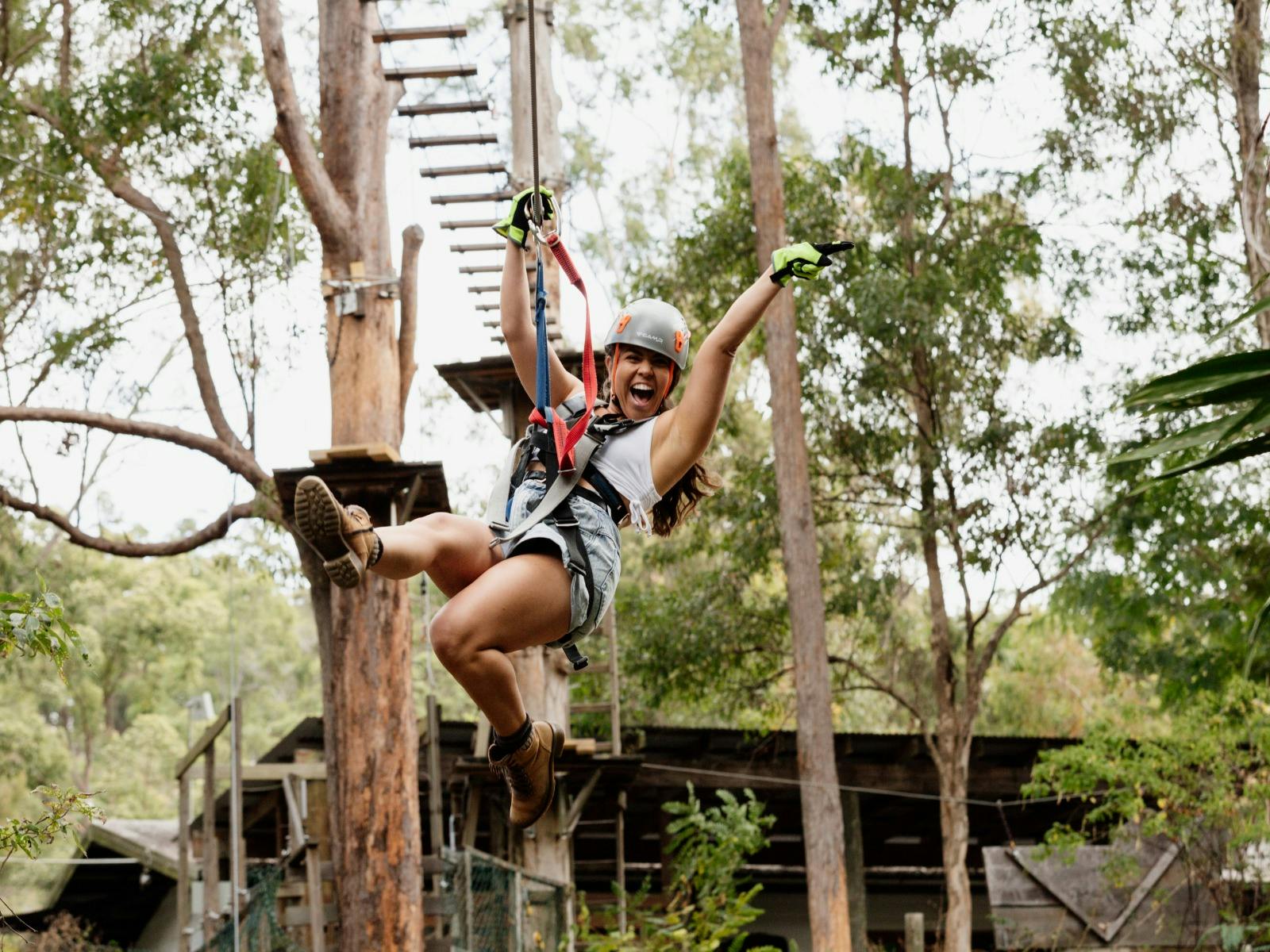 TreeTop Challenge - Tamborine Mountain