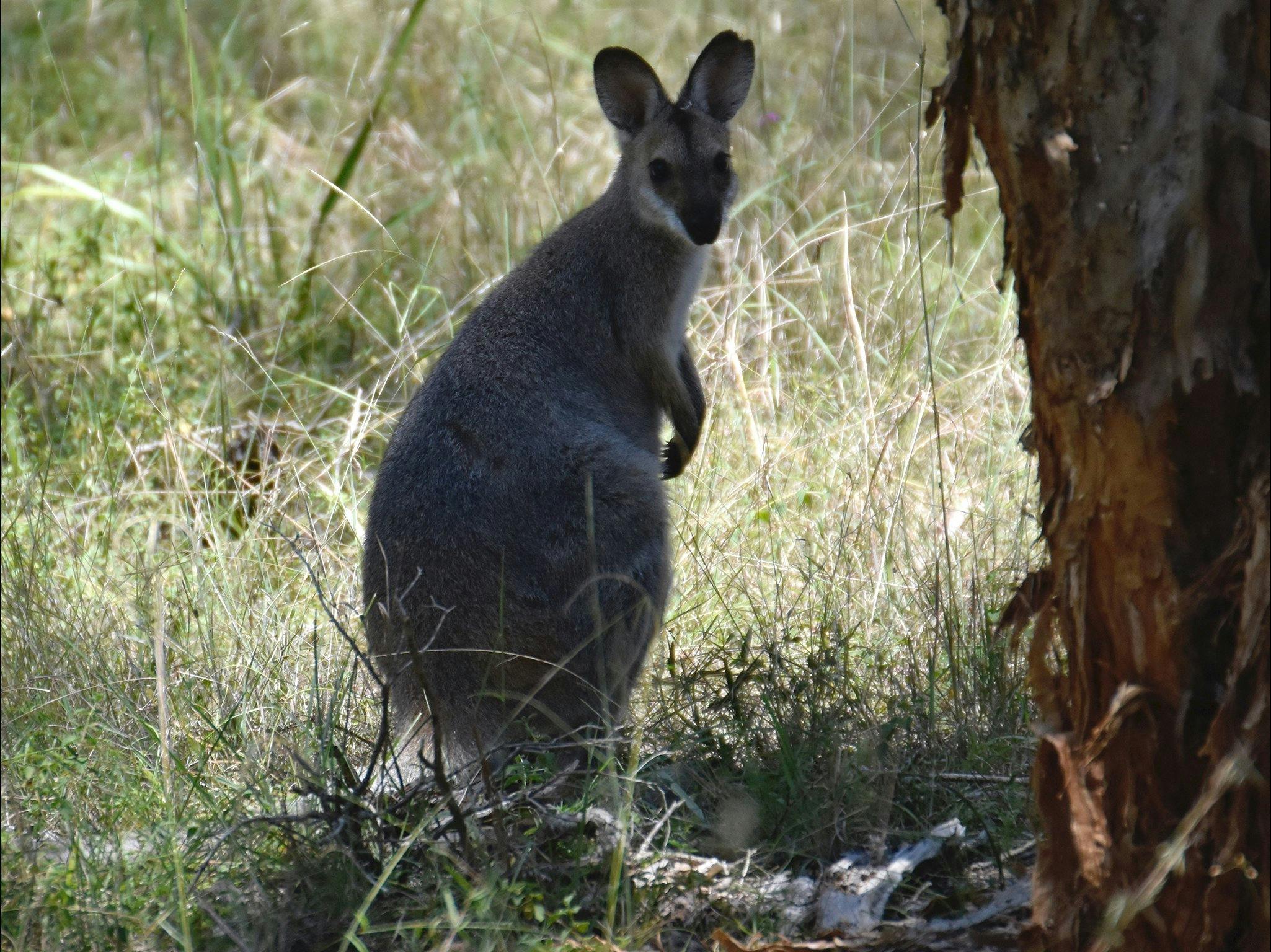 Purga Nature Reserve
