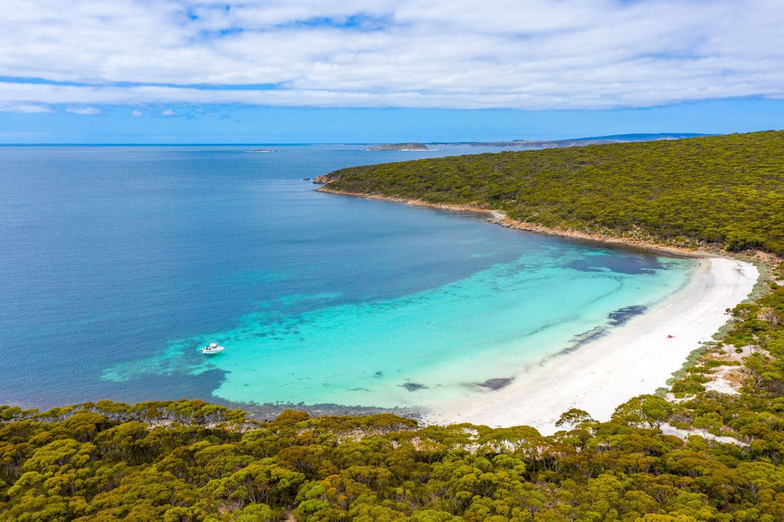 Memory Cove Wilderness Protection Area - Lincoln National Park, A...