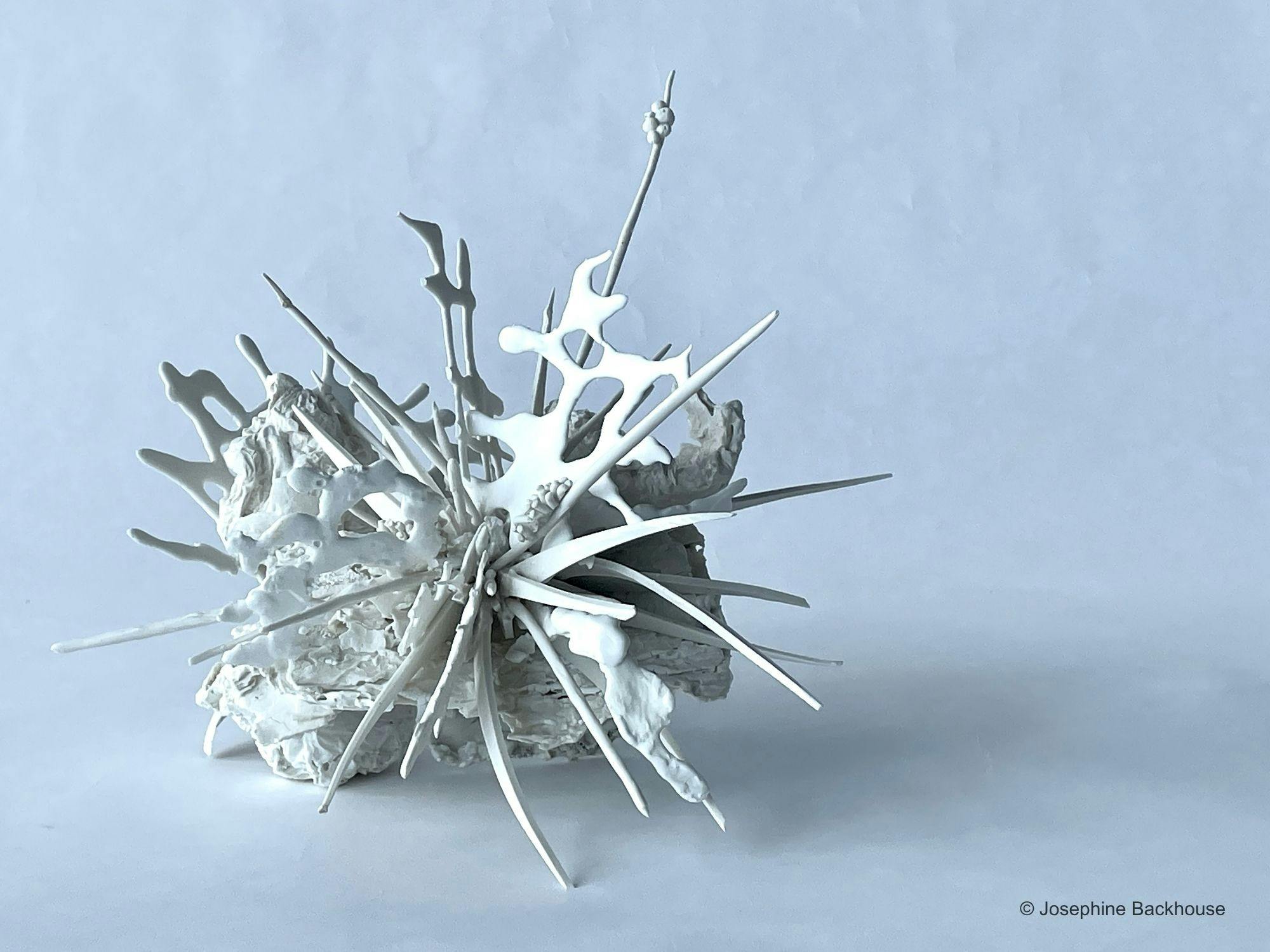 Experience Adelaide | 2026 Waterhouse Natural Science Art Prize…