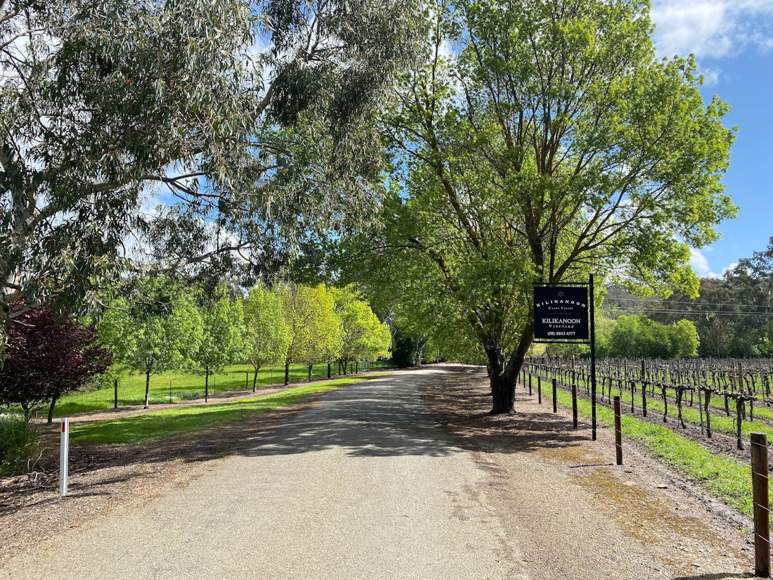 Clare Valley Wine Tour & Lunch - Clare, Tour Service | South Australia