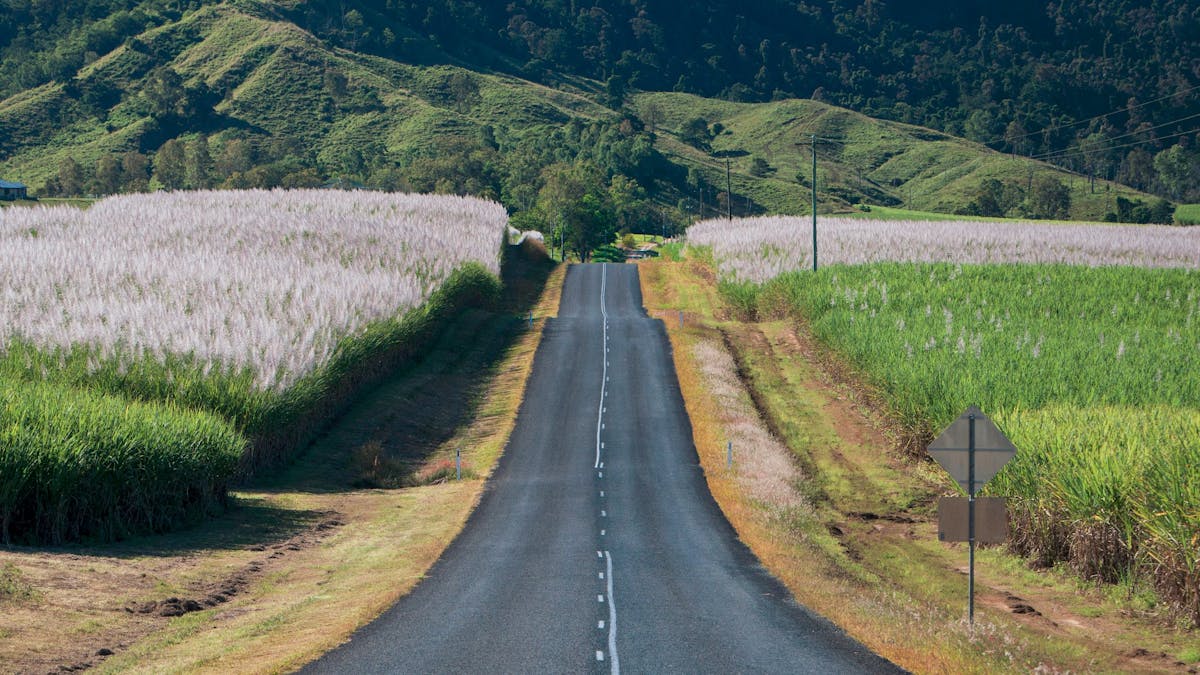 Mirani | Destination-information | Queensland