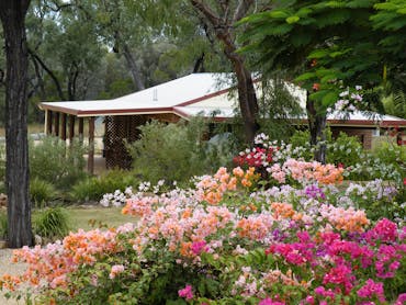 Spring Bluff | Destination-information | Queensland