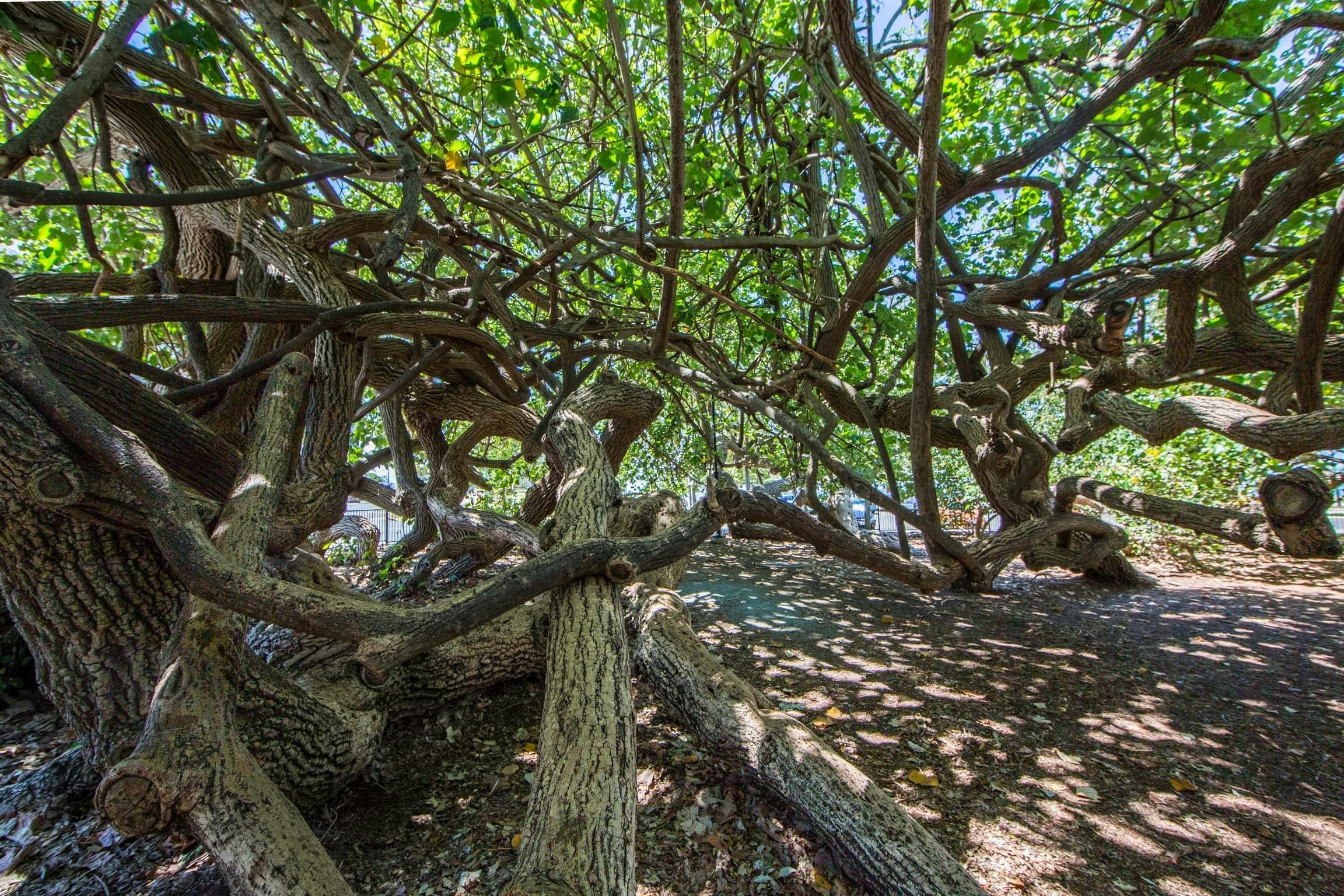 Scarborough Beach Park