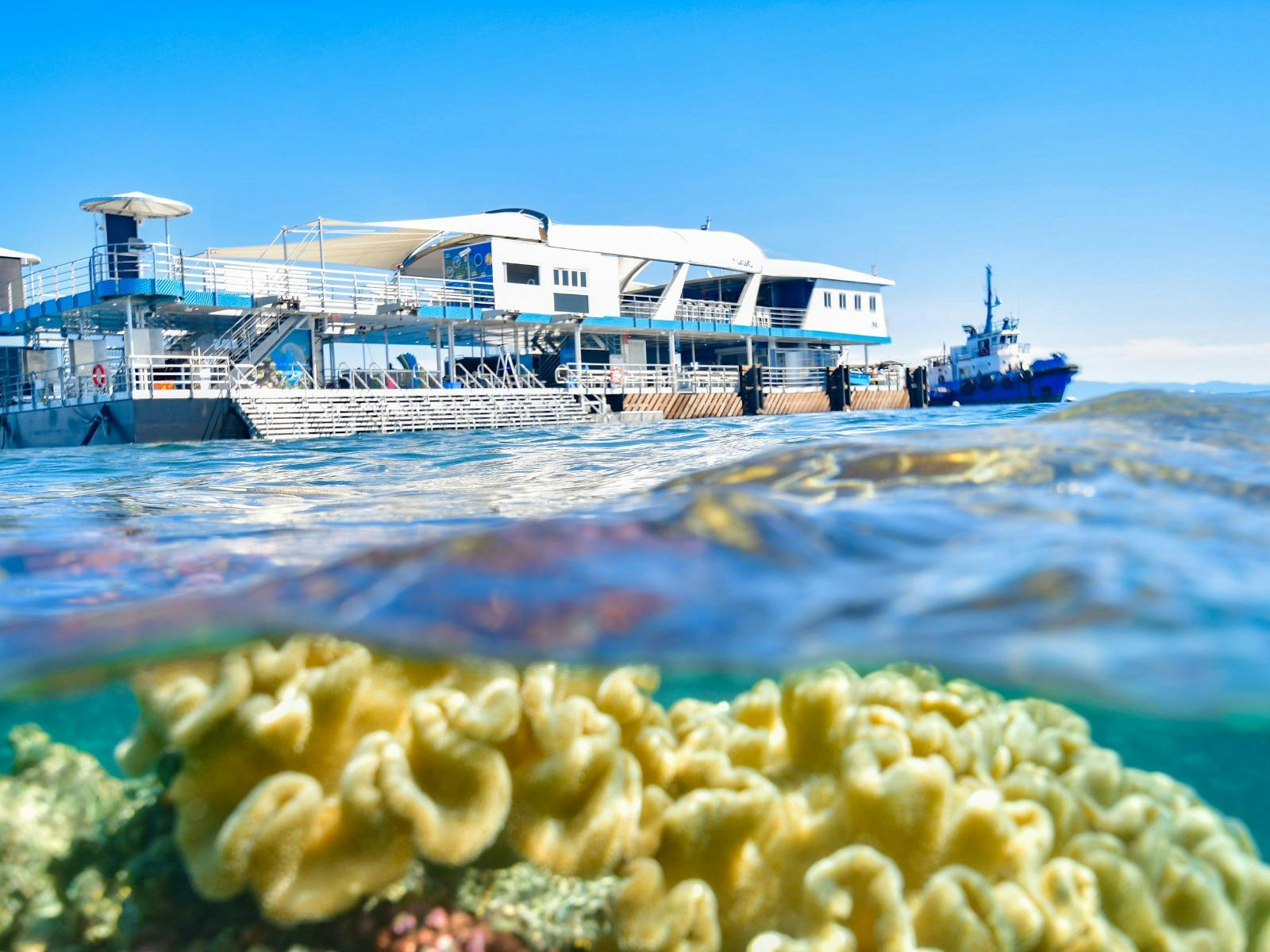 Reef Magic Cruises | Tours | Queensland