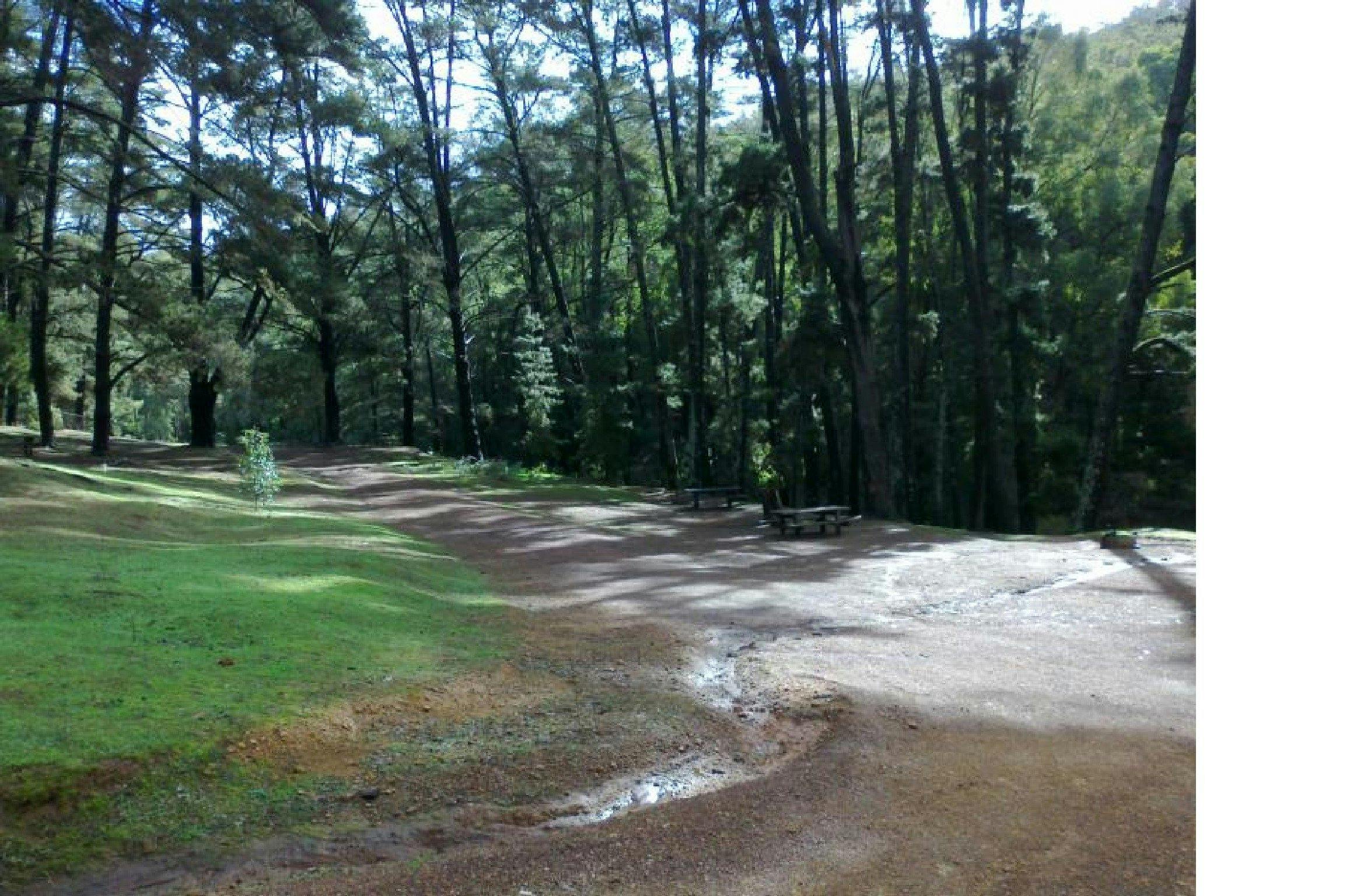 Nanga Mill Campground in Dwellingup - The Fold: Your Guide to ...