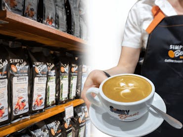 Here's How to Find the Best Swimming Holes and Waterfalls Near Brisbane ...