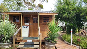 Wondai | Destination-information | Queensland