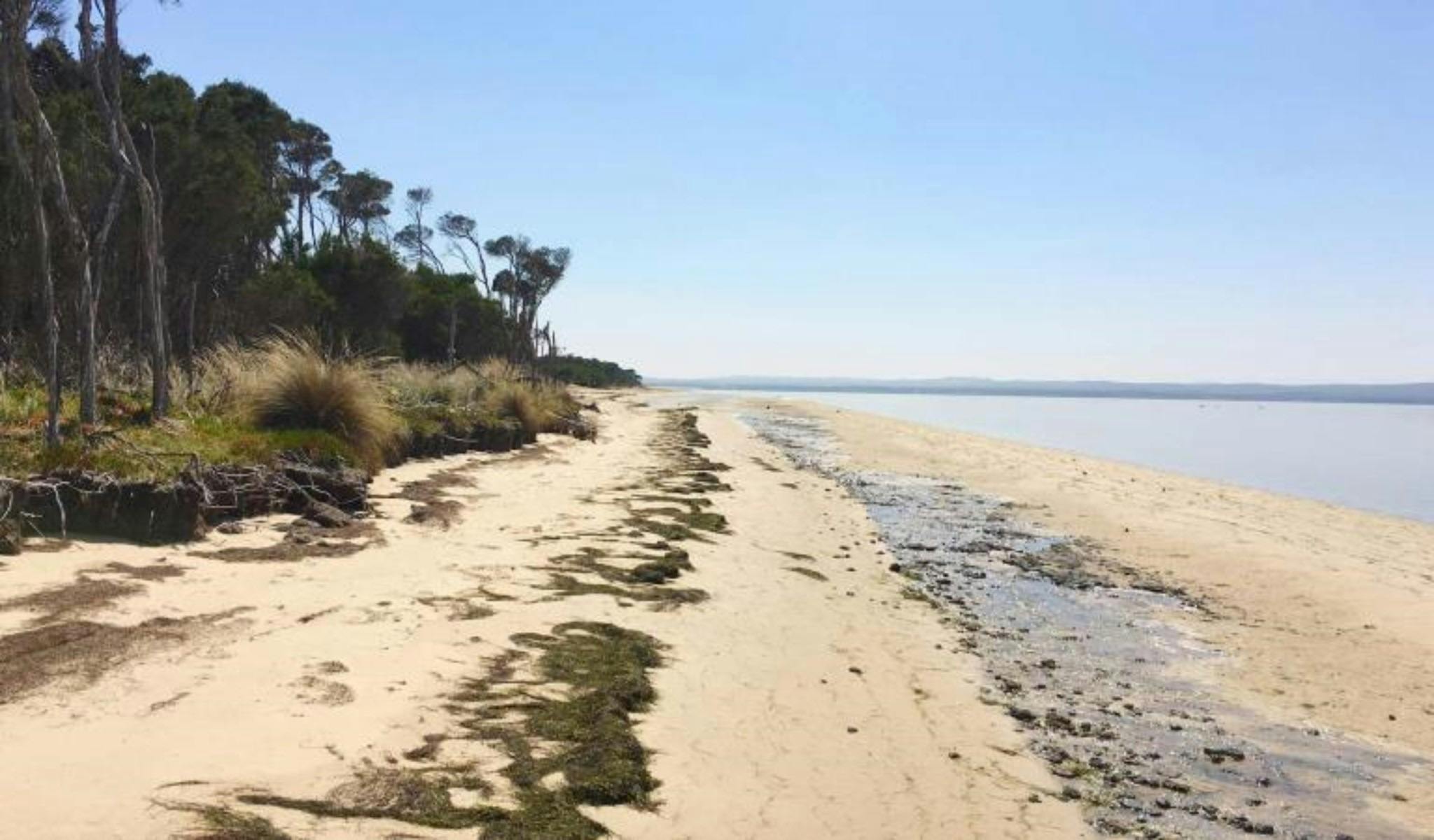 National Parks + Reserves — Visit Mornington Peninsula.