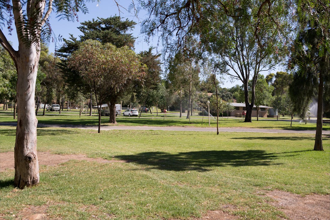 Discovery Parks - Barossa Valley, Unpowered Sites - Tanunda, Acco...