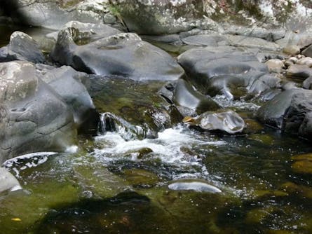 Dungog Events - Markets, Sporting Events & more