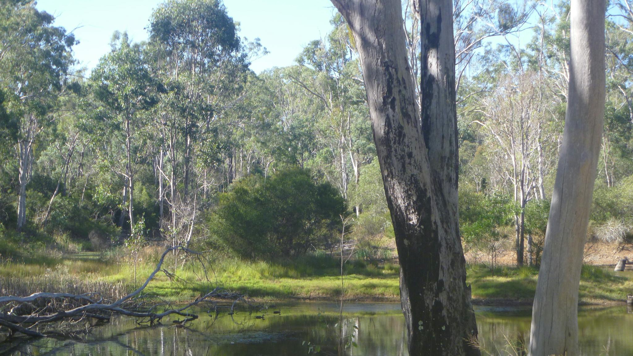 Nanango Fauna Reserve in Nanango - The Fold: Your Guide to Everything ...