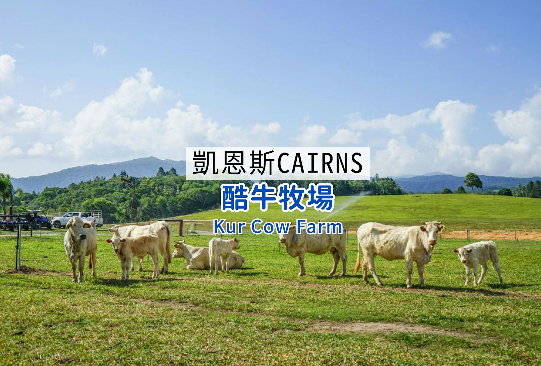 Kur-Cow Farm - Cairns & Great Barrier Reef