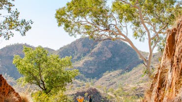 Overlanders Way Road Trip Itinerary | Queensland