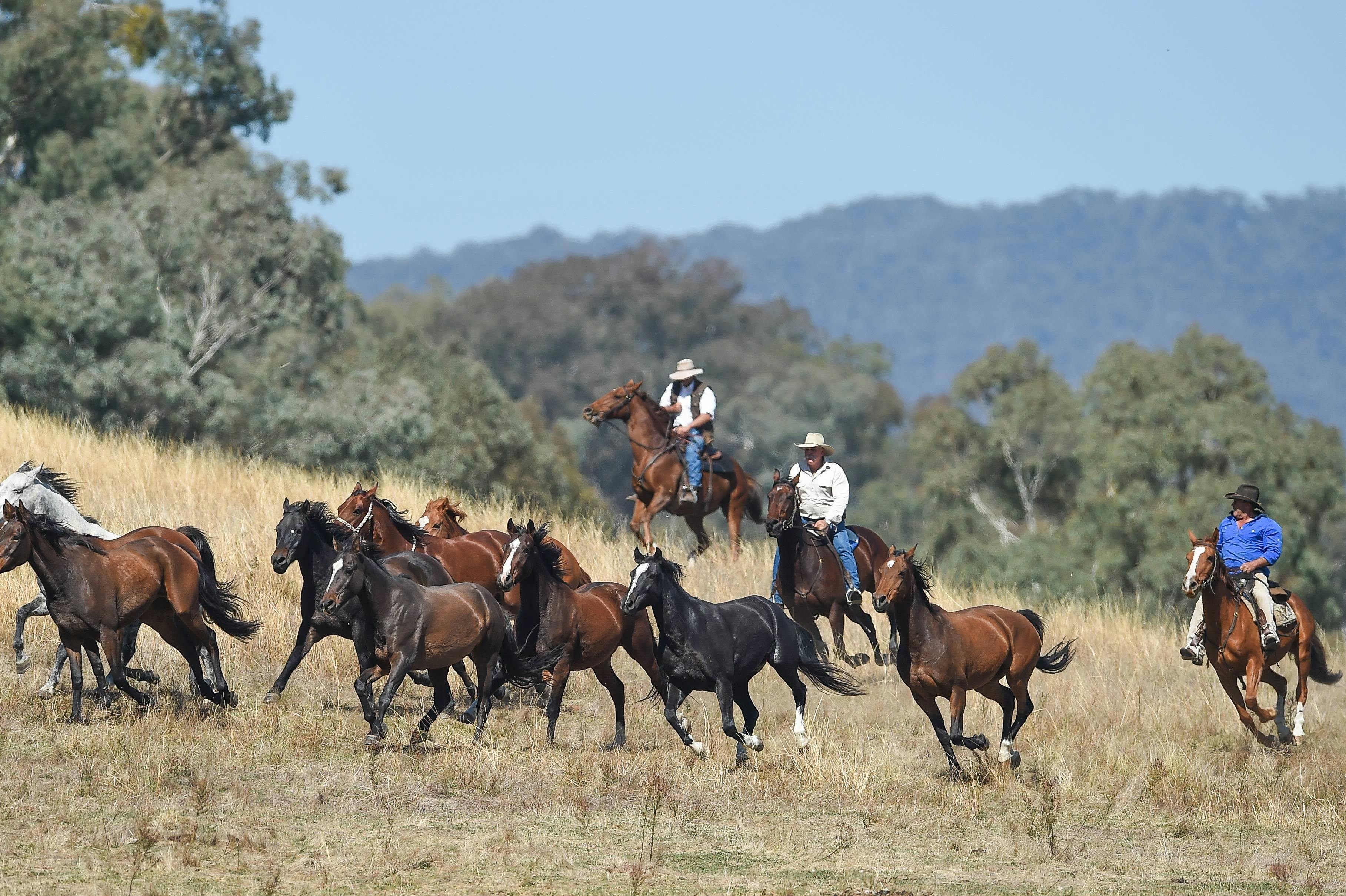 Fun Over 50 Holidays Immersive Tours And Adventures | Tours | Queensland