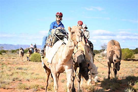 Camel Treks Australia - Clayton Station, Tour | trade.southaustra...