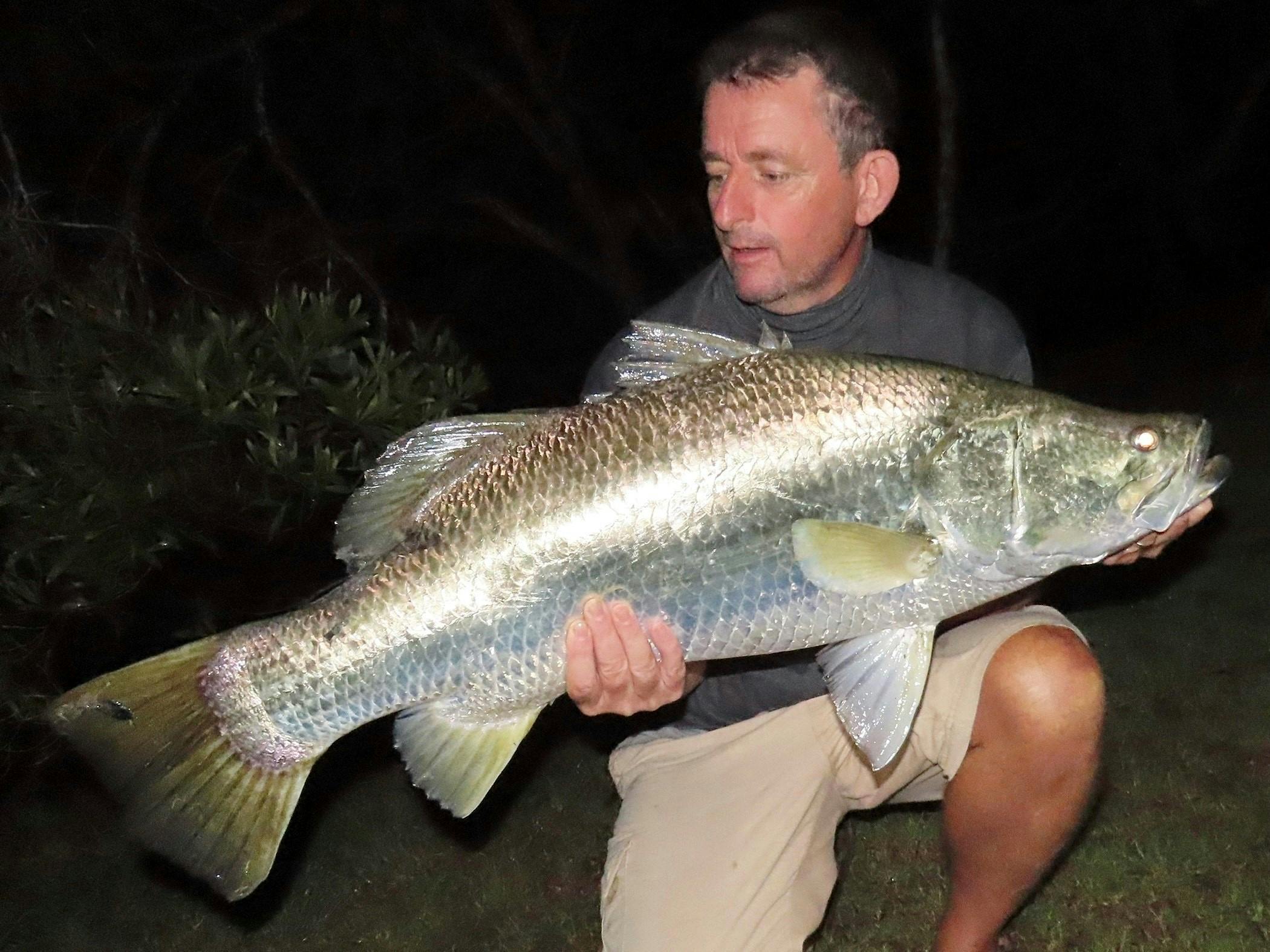 Trinity Islands Holiday Park | Visit Fraser Coast