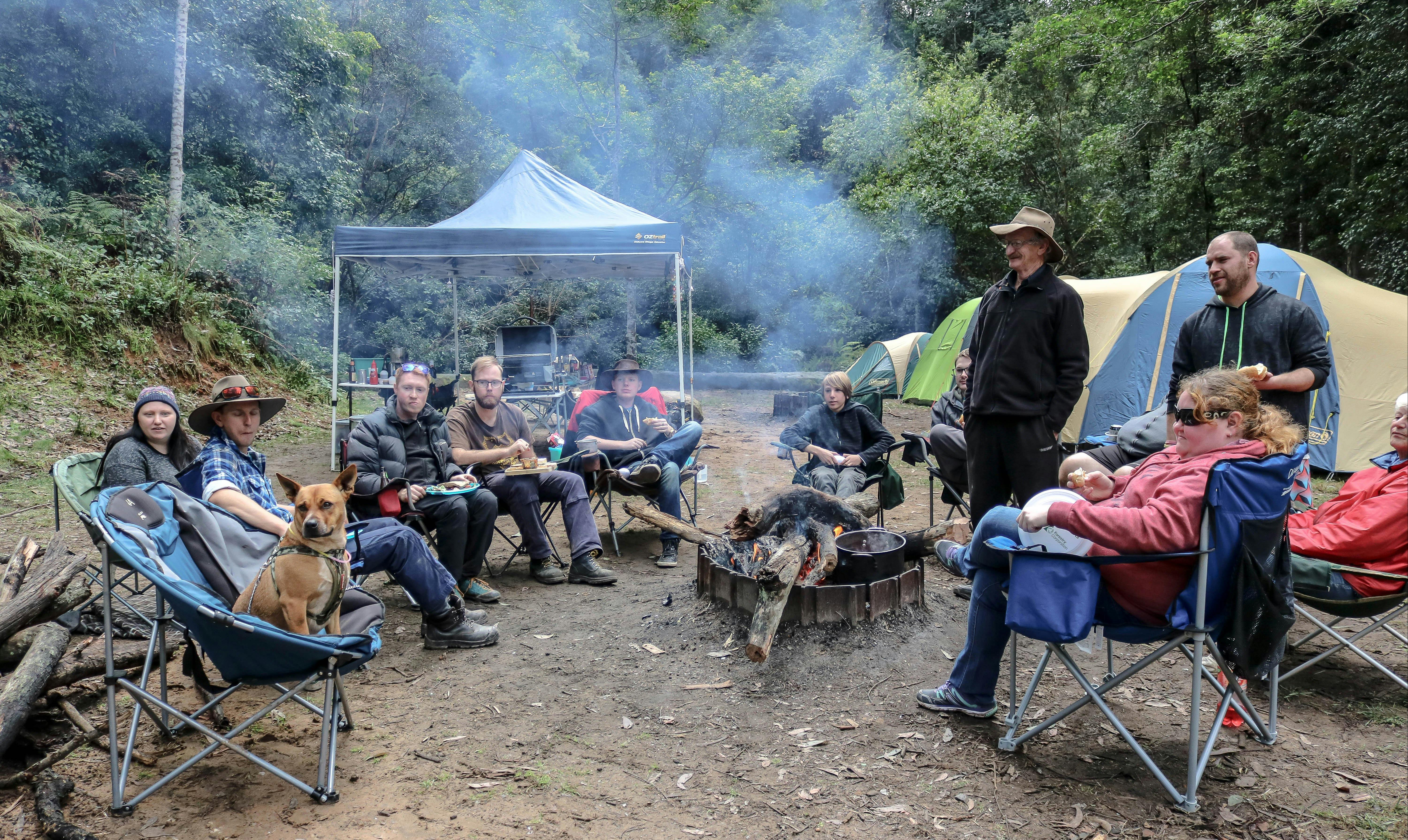 Olney State Forest - Watagan Mountains | NSW Holidays & Accommodation ...